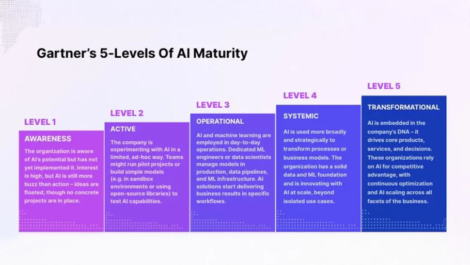 Beyond Automation: Why Expert Consultants Are Essential for AI Maturity ...